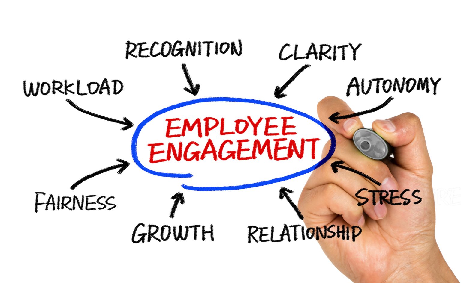 employee engagement diagram hand drawing on whiteboard - Power Wellness employee engagement diagram hand drawing on whiteboard - Power Wellness